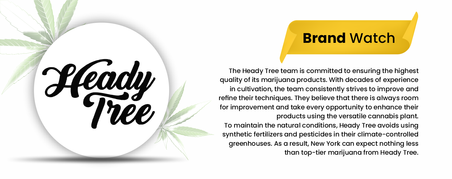 Saranac Lake's Best Recreational Cannabis Dispensary