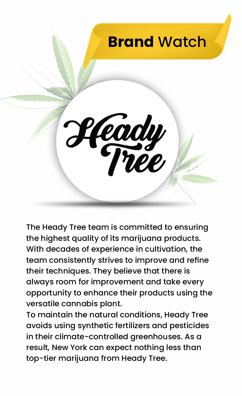 Saranac Lake's Best Recreational Cannabis Dispensary